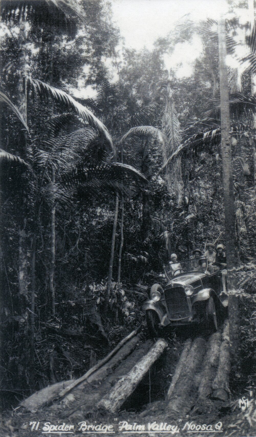 Spider Bridge, Palm Valley, Noosa North Shore | Heritage Noosa